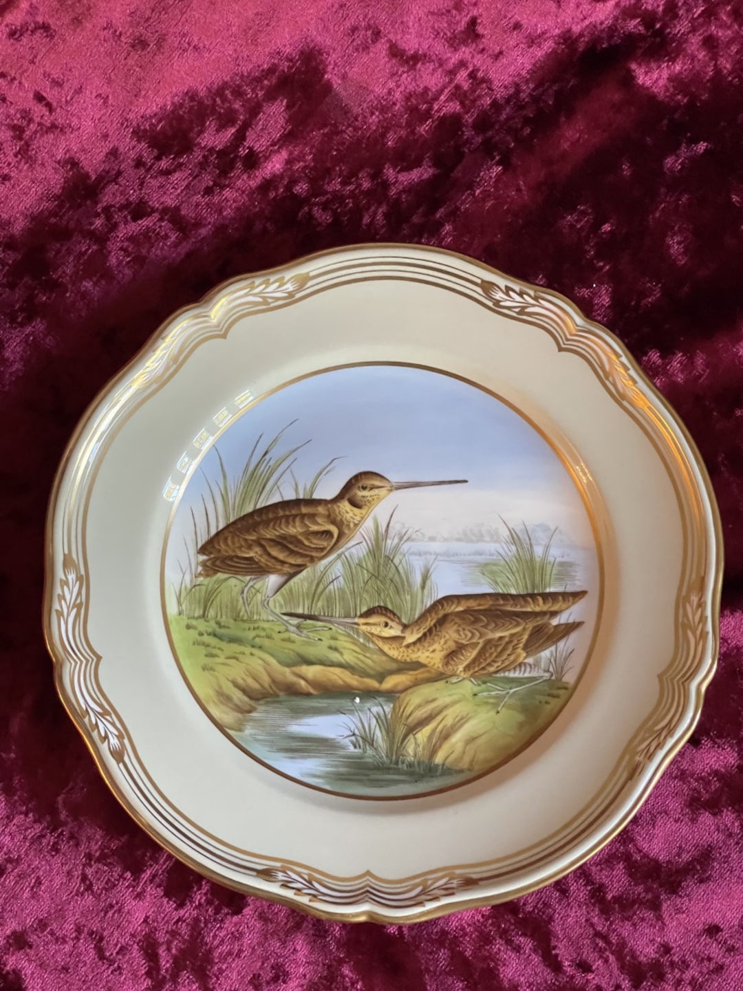 Spode Vintage "game Birds" Plate "snipe". Hand Painted. Perfect ...
