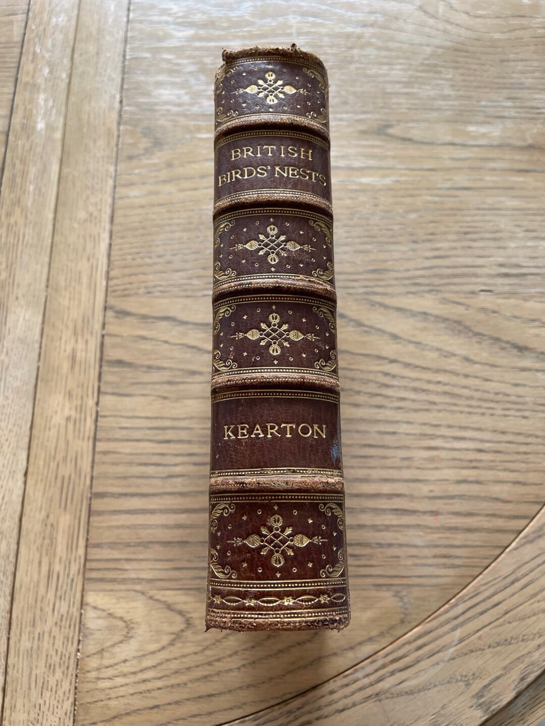 BRITISH BIRDS' NESTS 1908 Antique Leather Book by Richard Kearton ...