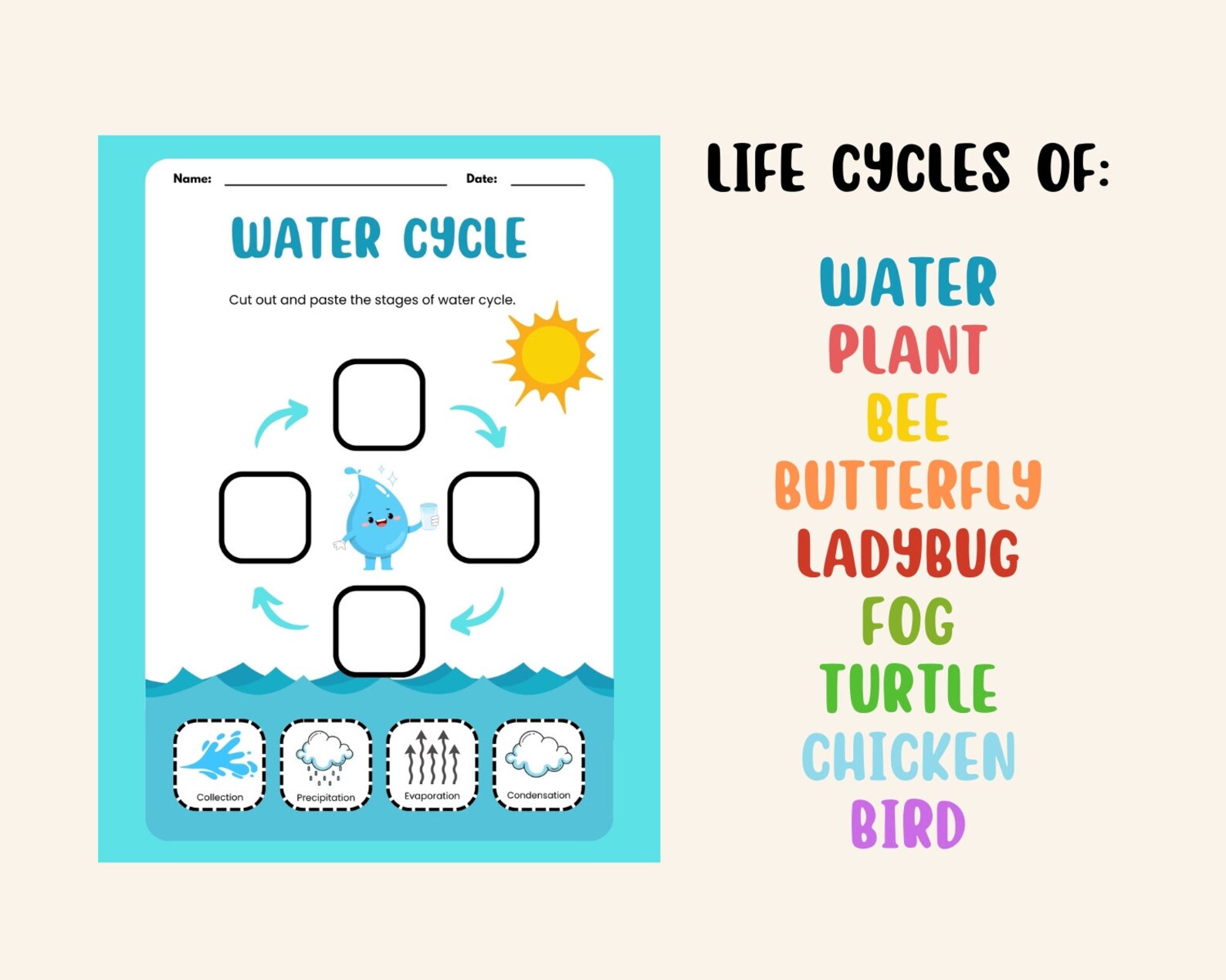 9 Life Cycle Activity Printable Worksheets: Bee, Plant, Water, Ladybug ...