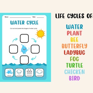 9 Life Cycle Activity Printable Worksheets: Bee, Plant, Water, Ladybug ...