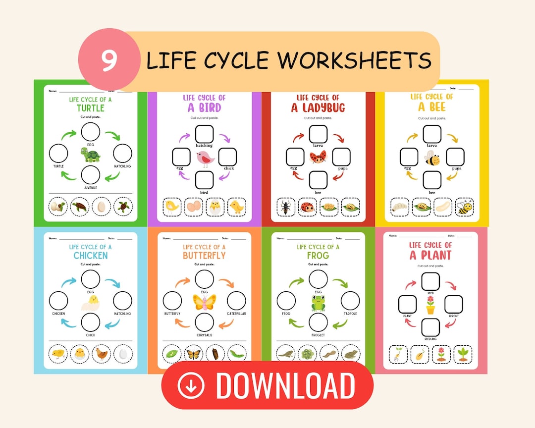 9 Life Cycle Activity Worksheets Pack for Kids, Children, Toddlers ...