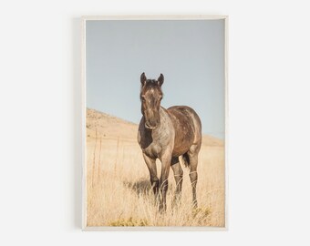Open Range Horses - Etsy