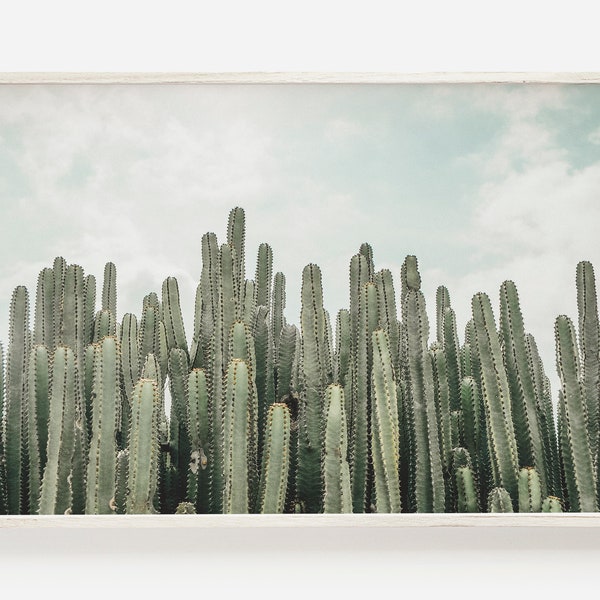 Cactus Print - Etsy
