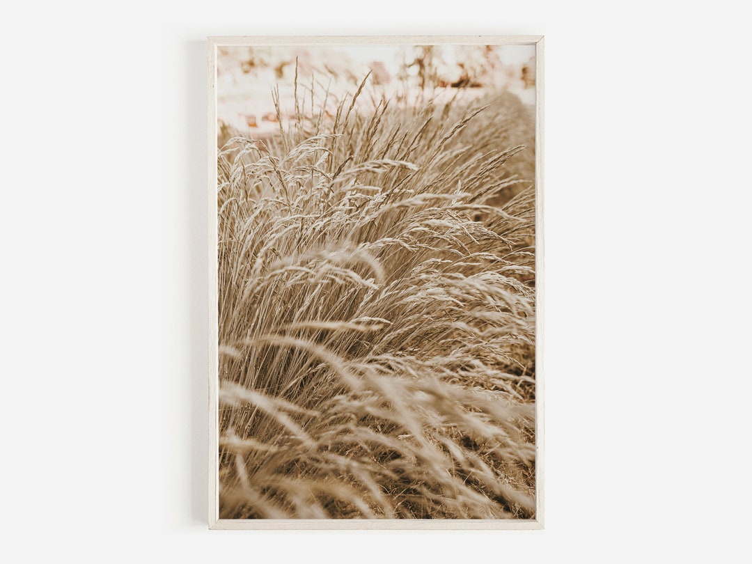 Beige Wheat Photo, Farmhouse Decor, Wheat Printable Art, Neutral Wall ...