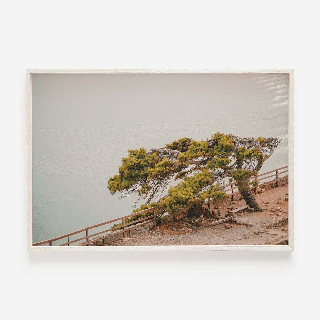 Coastal Italian Scenery Print, Tree on Cliffside, Warm Summer Art, Boho ...