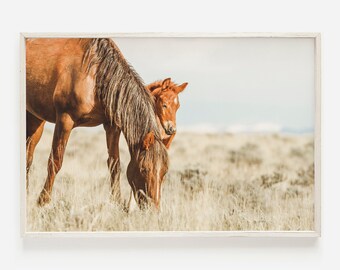 Open Range Photo - Etsy