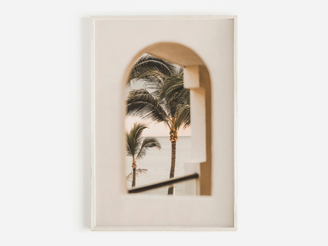 Palm Tree View at Sunset, Arched Window Scenery, Tropical Palm Tree ...