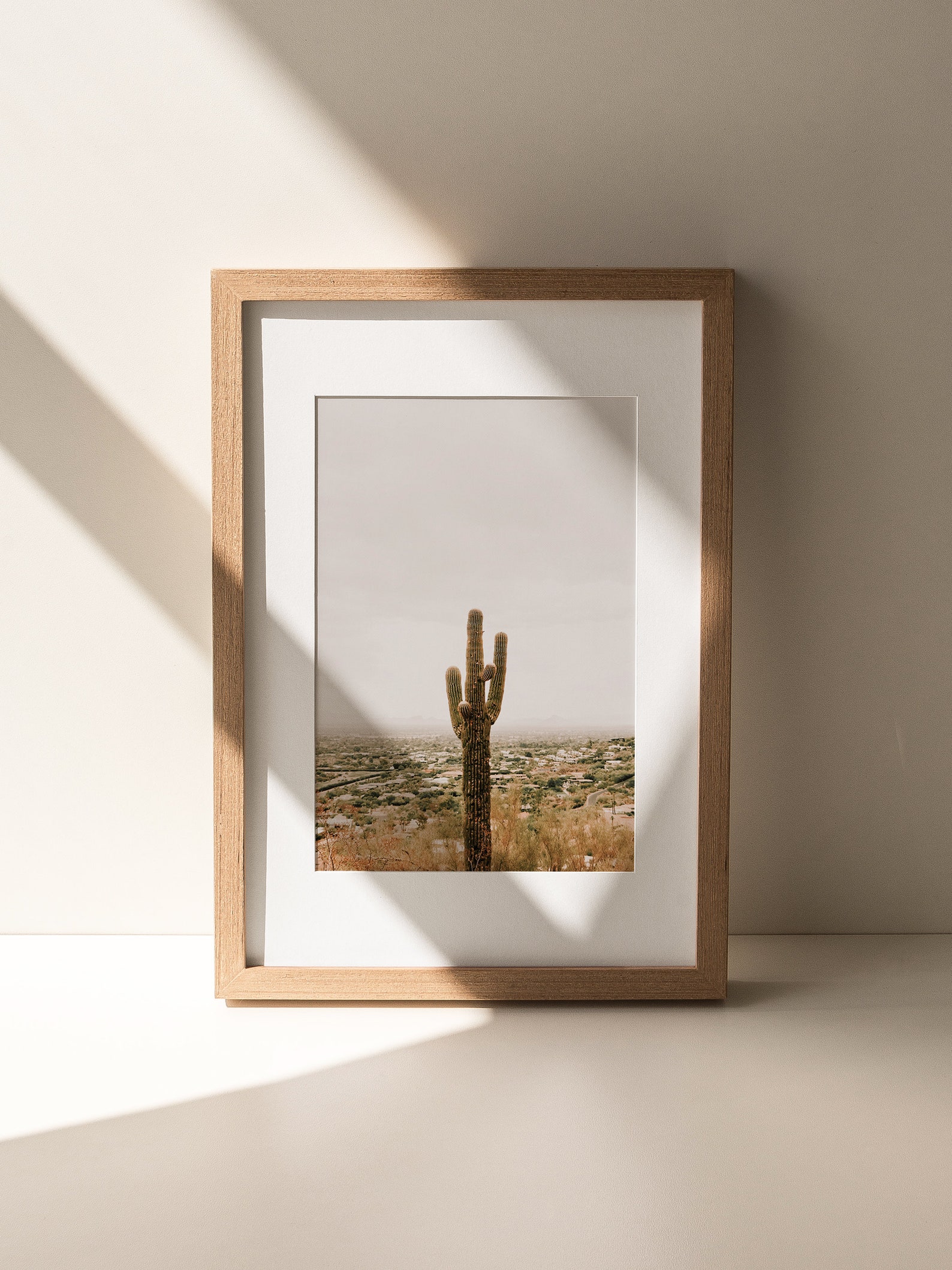Single Saguaro in Summer Desert, Scottsdale Cactus Print, Desert ...