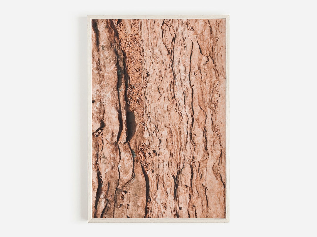 Rock Texture in Arizona, Arizona Geology Print, Schnebly Hill Sandstone ...