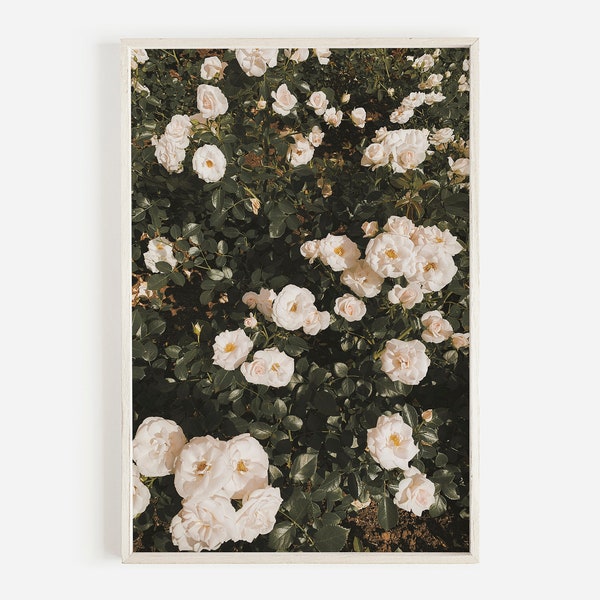 Rose Bush - Etsy