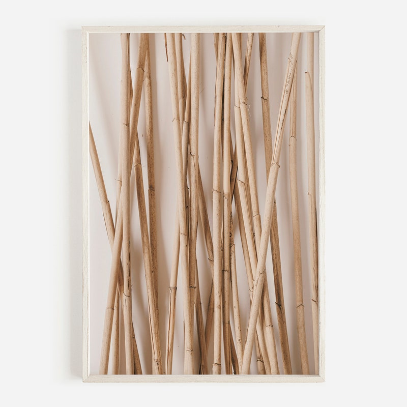 Dried Reeds - Etsy