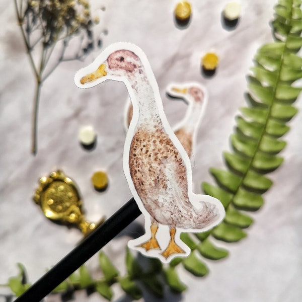 Water Bottle Runner - Etsy