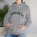 The Normal Hoodie grey - Etsy
