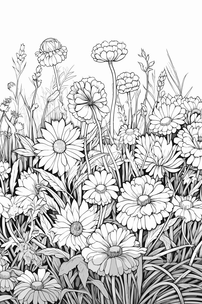 Beautiful Flower Coloring Pages - Etsy