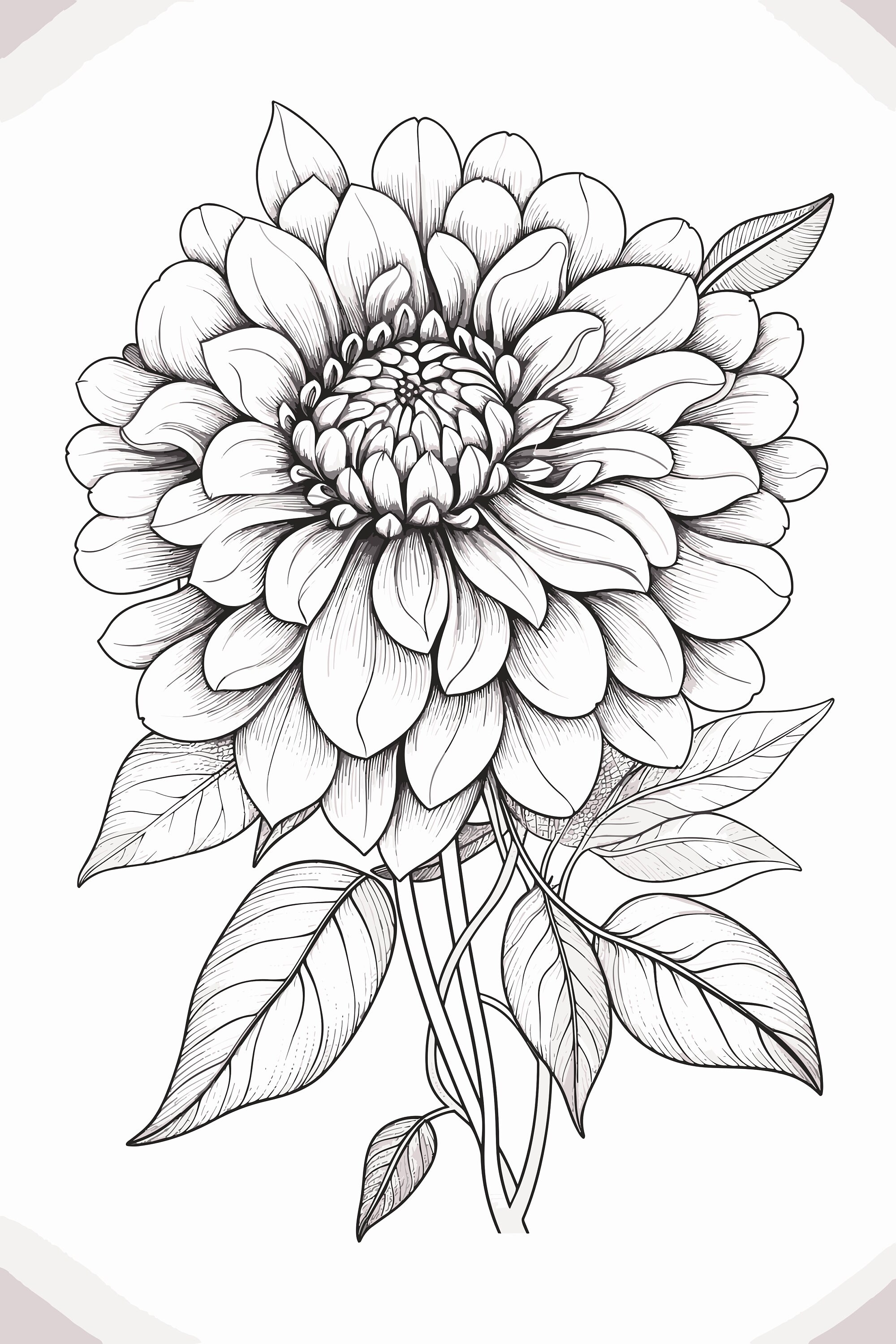 Beautiful Flower Coloring Pages - Etsy