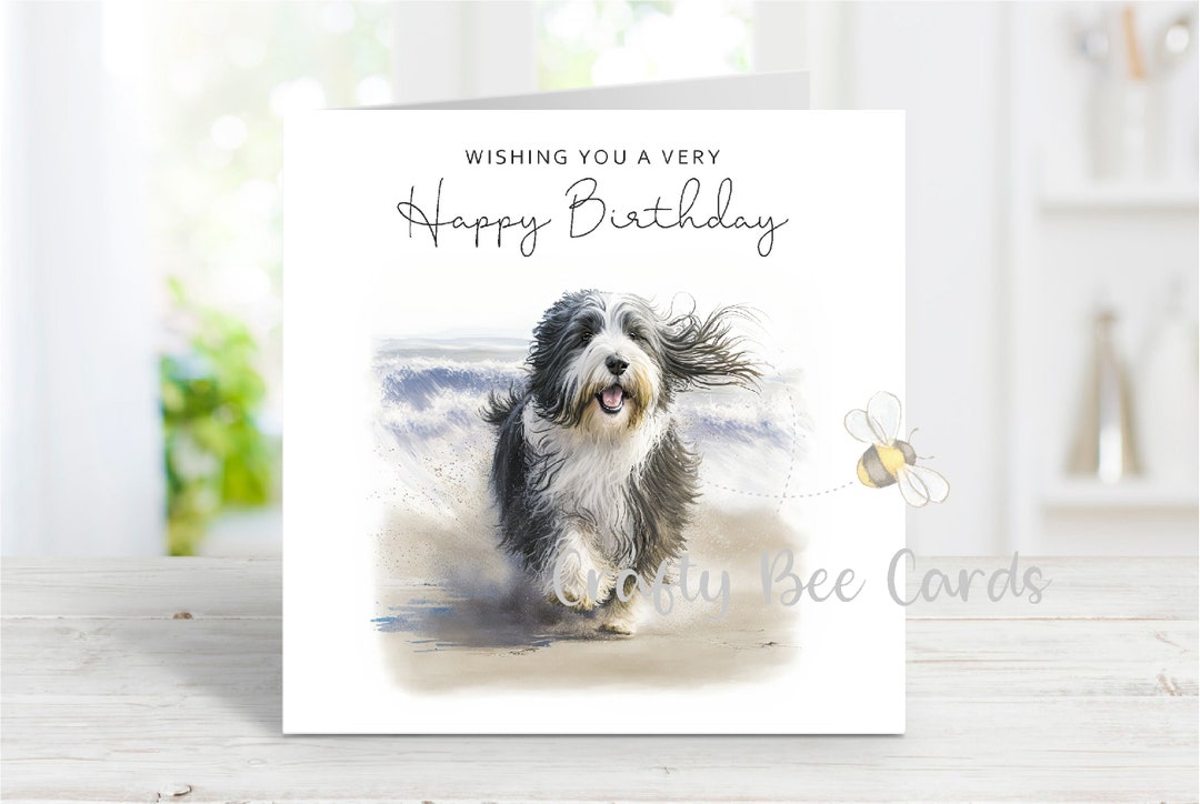 Bearded Collie Birthday Card, Fun Dog Greetings Card, Lovely ...