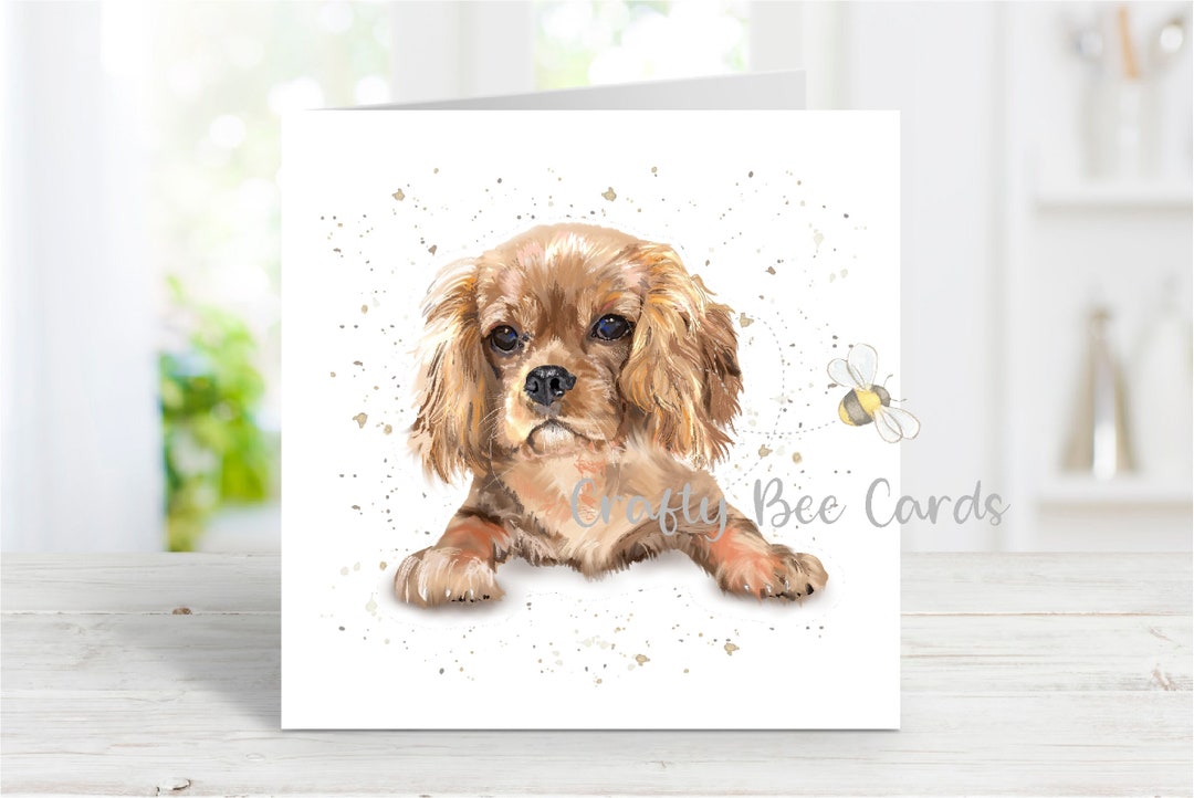 Cavalier King Charles Spaniel (ruby) Dog Greetings Card, Blank for Any ...