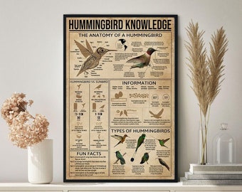 Types of Birds Poster - Etsy