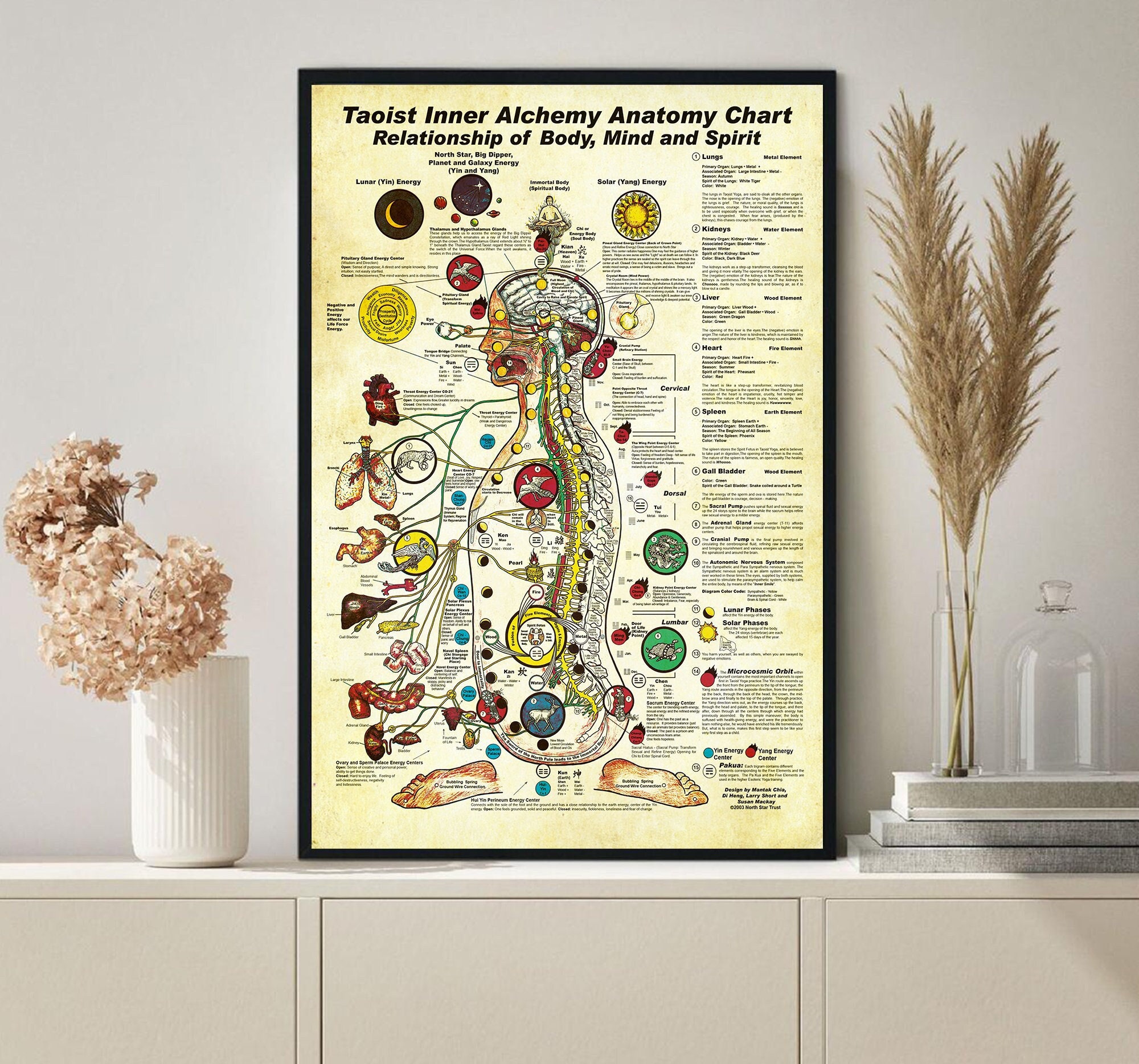 Taoist Inner Alchemy Anatomy Chart Poster Relationship of - Etsy