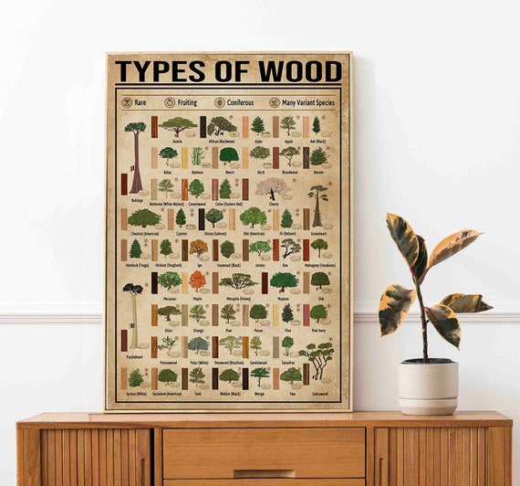 Types of Wood Poster Carpenter Poster Wood Knowledge Poster - Etsy