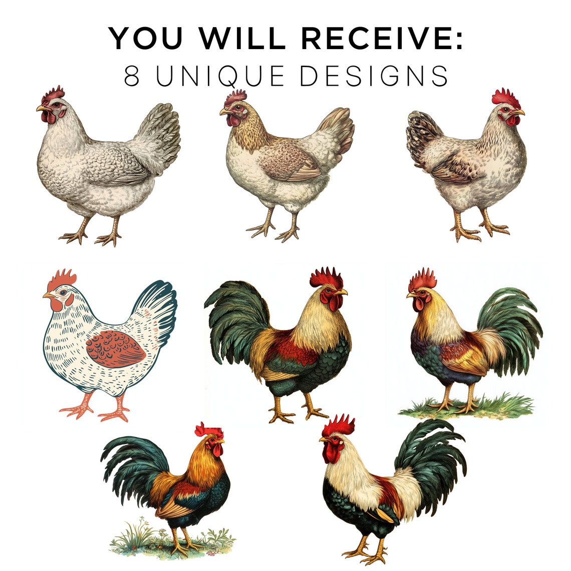 Retro Chickens & Roosters PNG Bundle, Printable Chicken Clipart Set ...