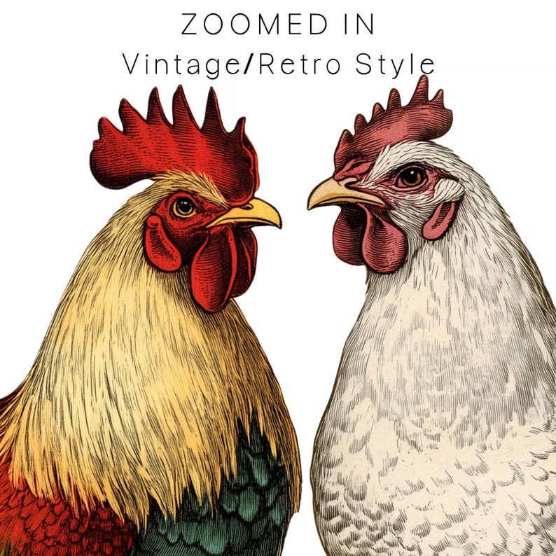 Retro Chickens & Roosters PNG Bundle, Printable Chicken Clipart Set ...