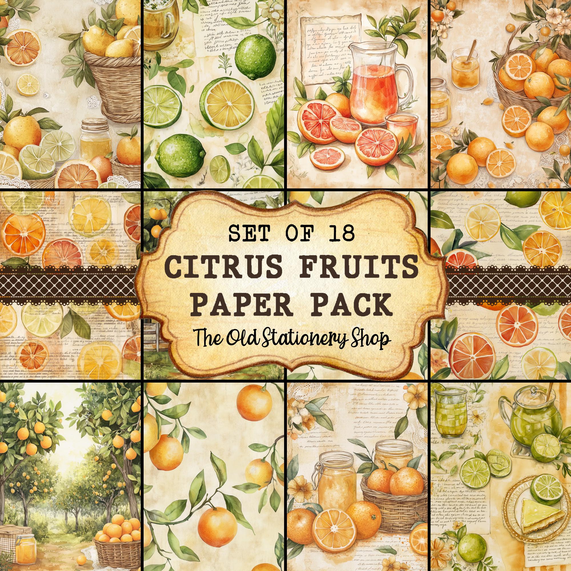 Citrus Fruits Paper Pack, 18 Printable Junk Journal Pages, Scrapbooking ...