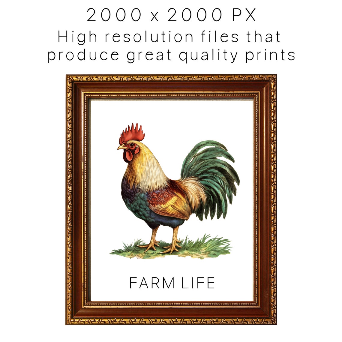 Retro Chickens & Roosters PNG Bundle, Printable Chicken Clipart Set ...