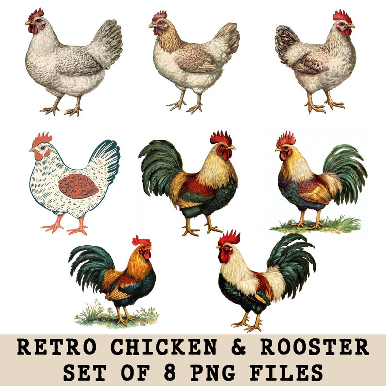 Retro Chickens & Roosters PNG Bundle, Printable Chicken Clipart Set ...