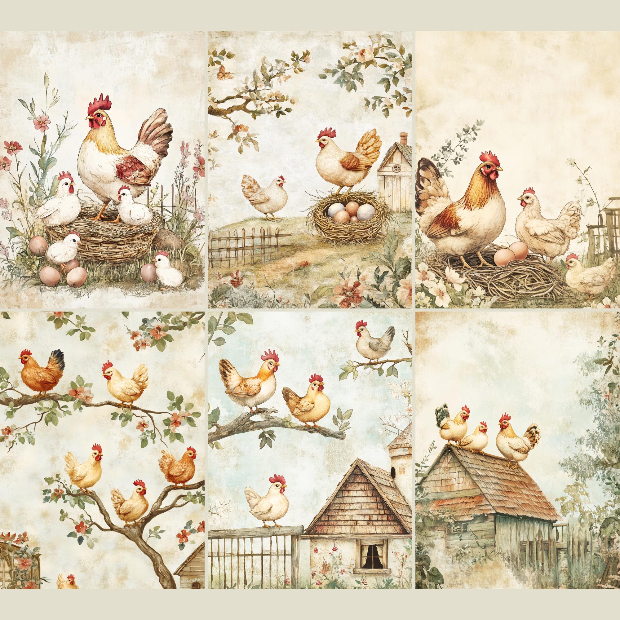 Farm Chicken Paper Pack, Printable Vintage Junk Journal Pages, Chicken ...