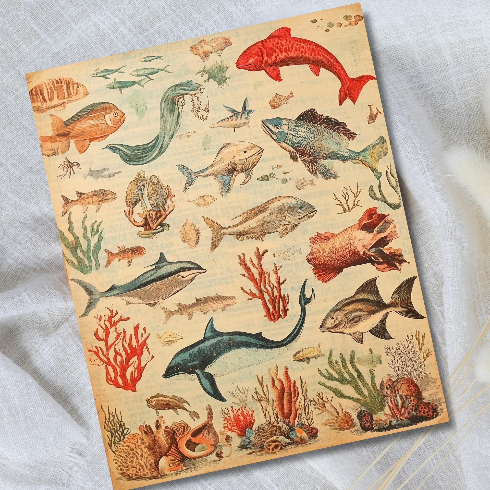 Sea Creatures Paper Pack - 18 Pages Vintage Junk Journal Printable ...