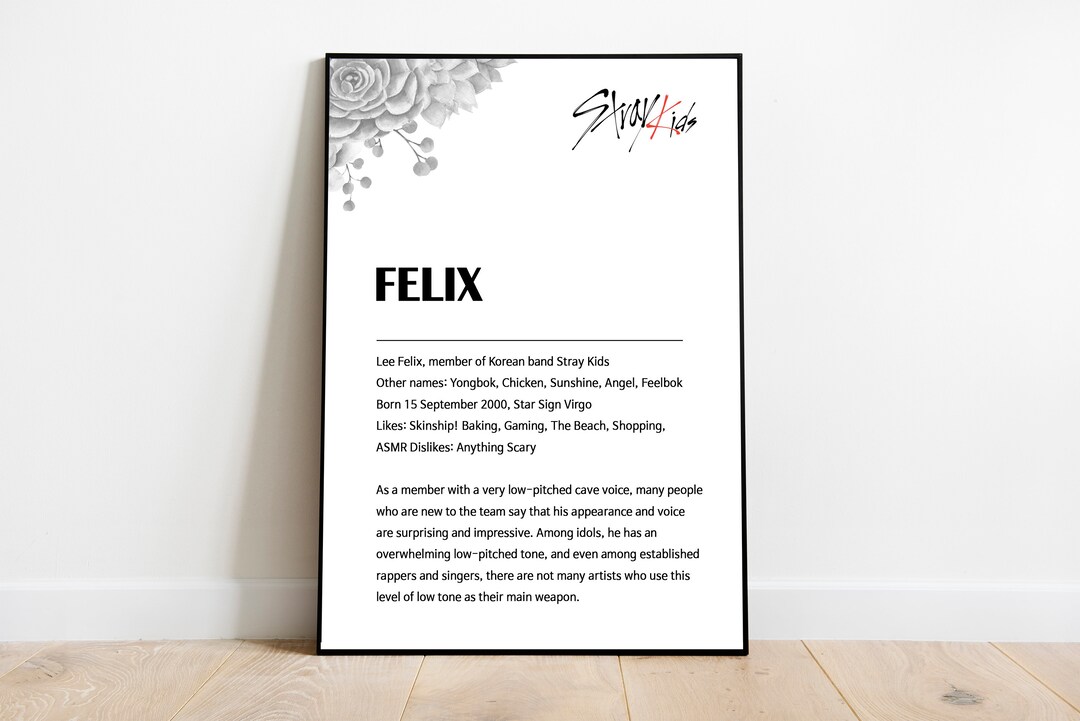 Stray Kids FELIX Definition Stray Kids Print K-pop Stray - Etsy