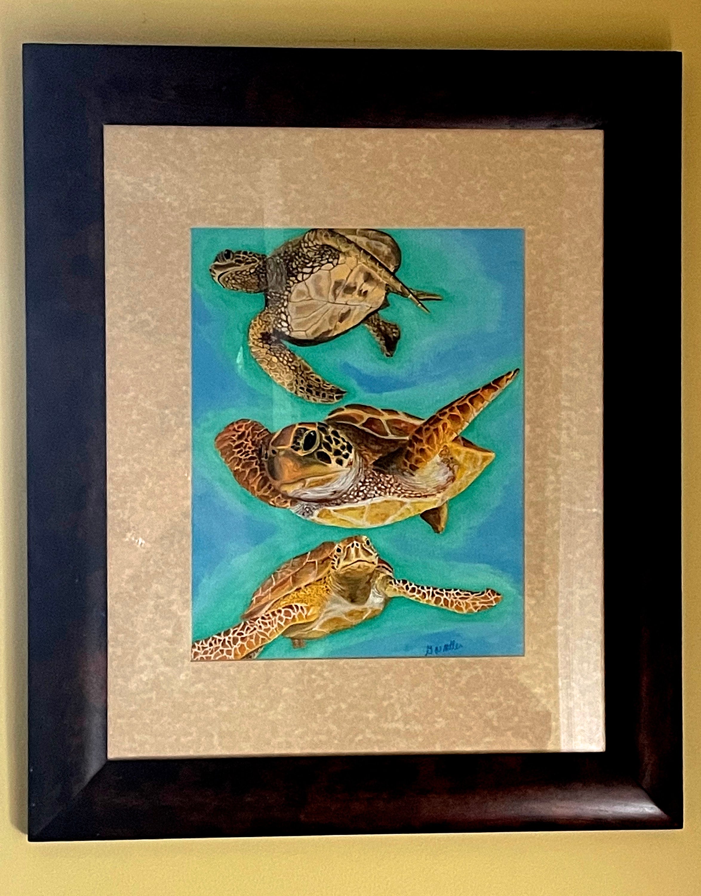 Turtle Trio - Etsy