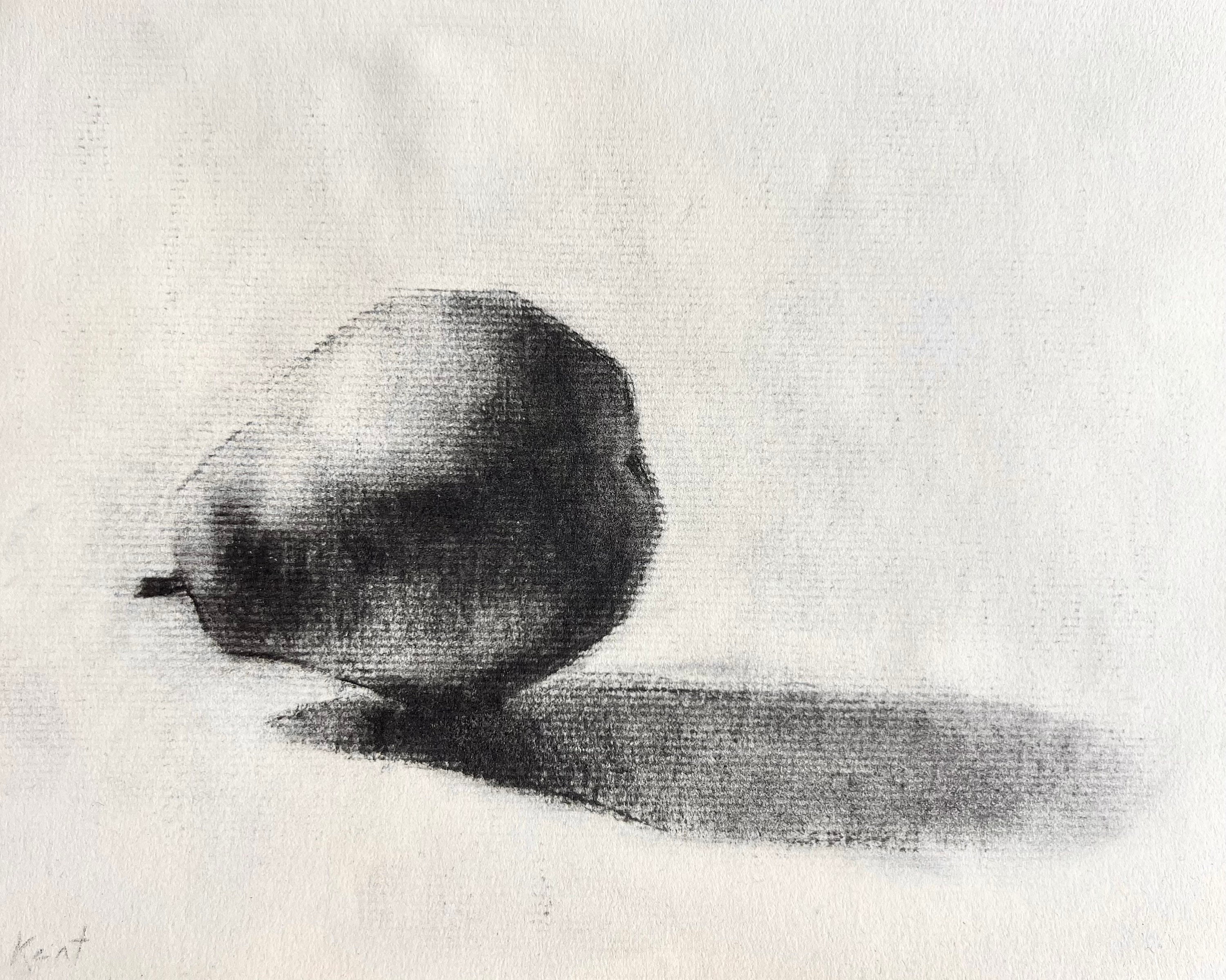 Charcoal Drawing Objects