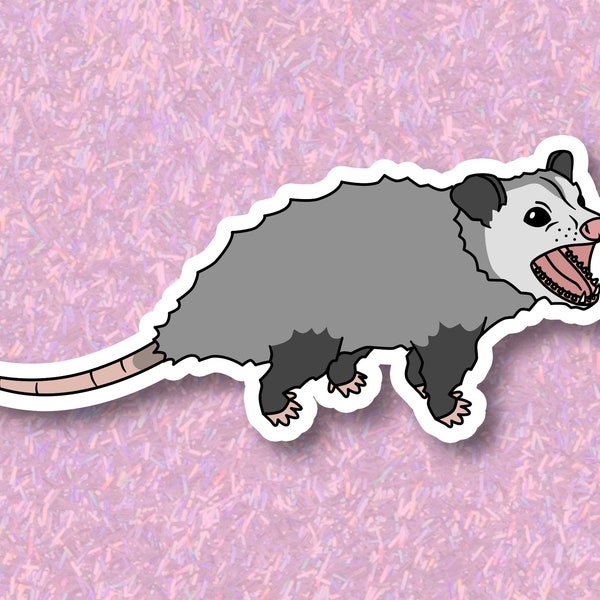 Opossum Stickers - Etsy