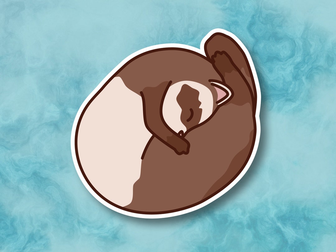 Curled up Sleeping Ferret - Waterproof Glossy Vinyl Ferret Sticker - Etsy