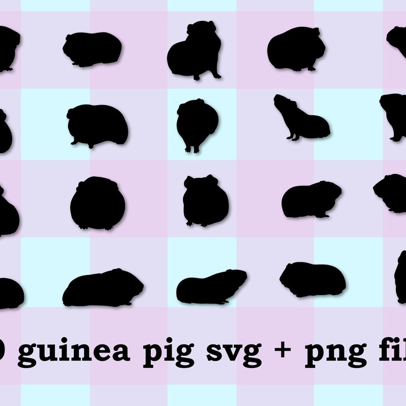 Guinea Pig Stickers Png - Etsy