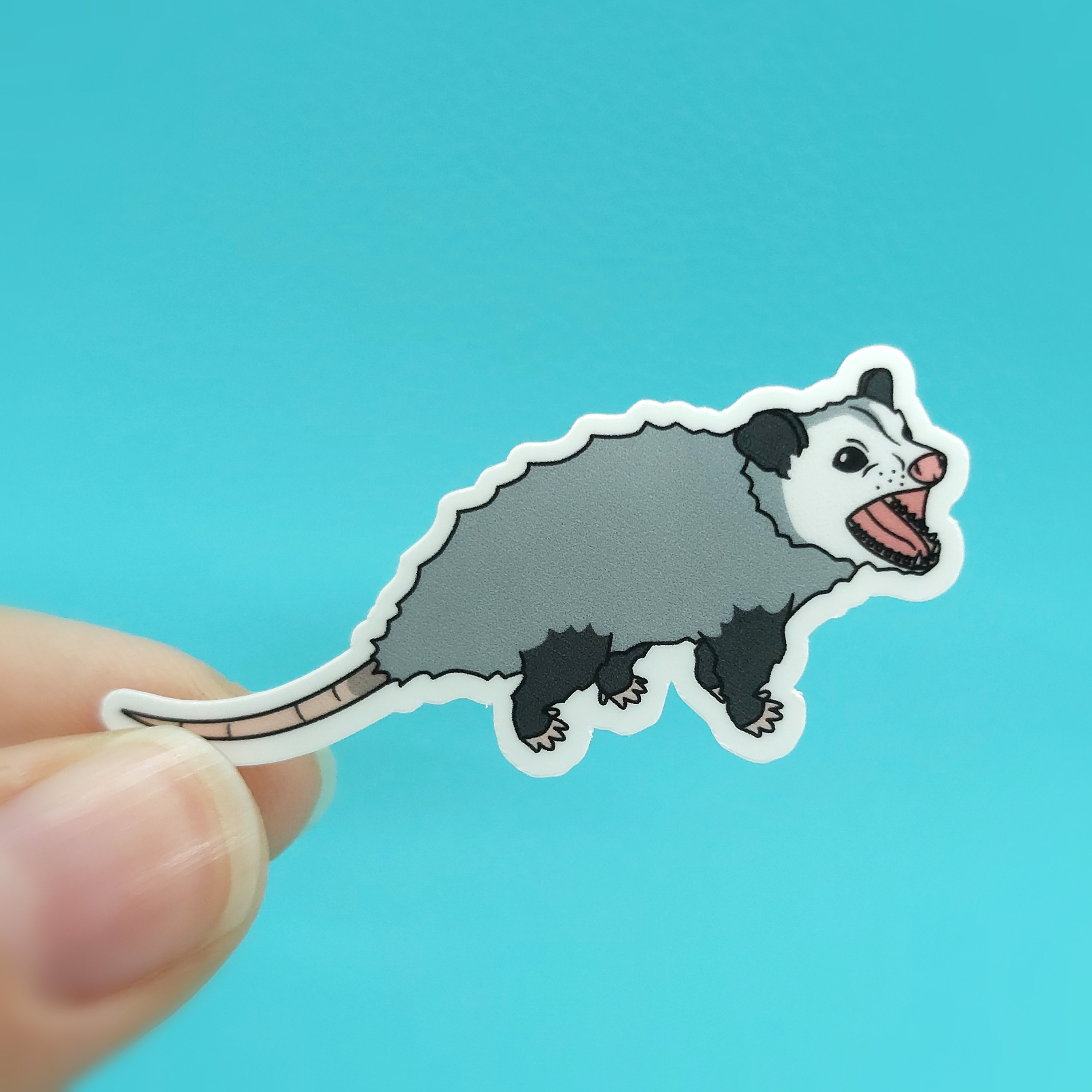 Cute Hissing Opossum Waterproof Glossy Vinyl Sticker | Etsy