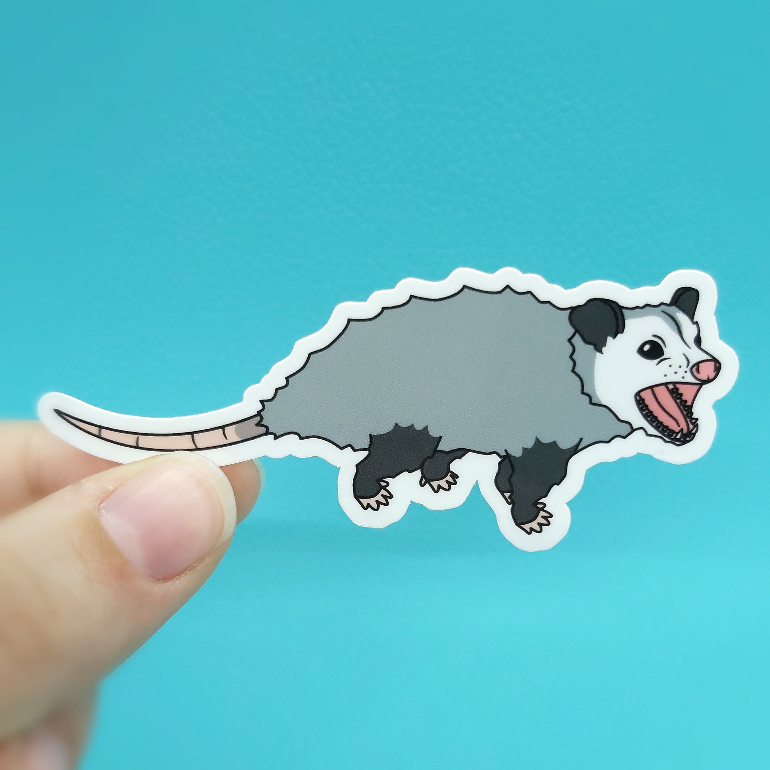 Cute Hissing Opossum Waterproof Glossy Vinyl Sticker | Etsy