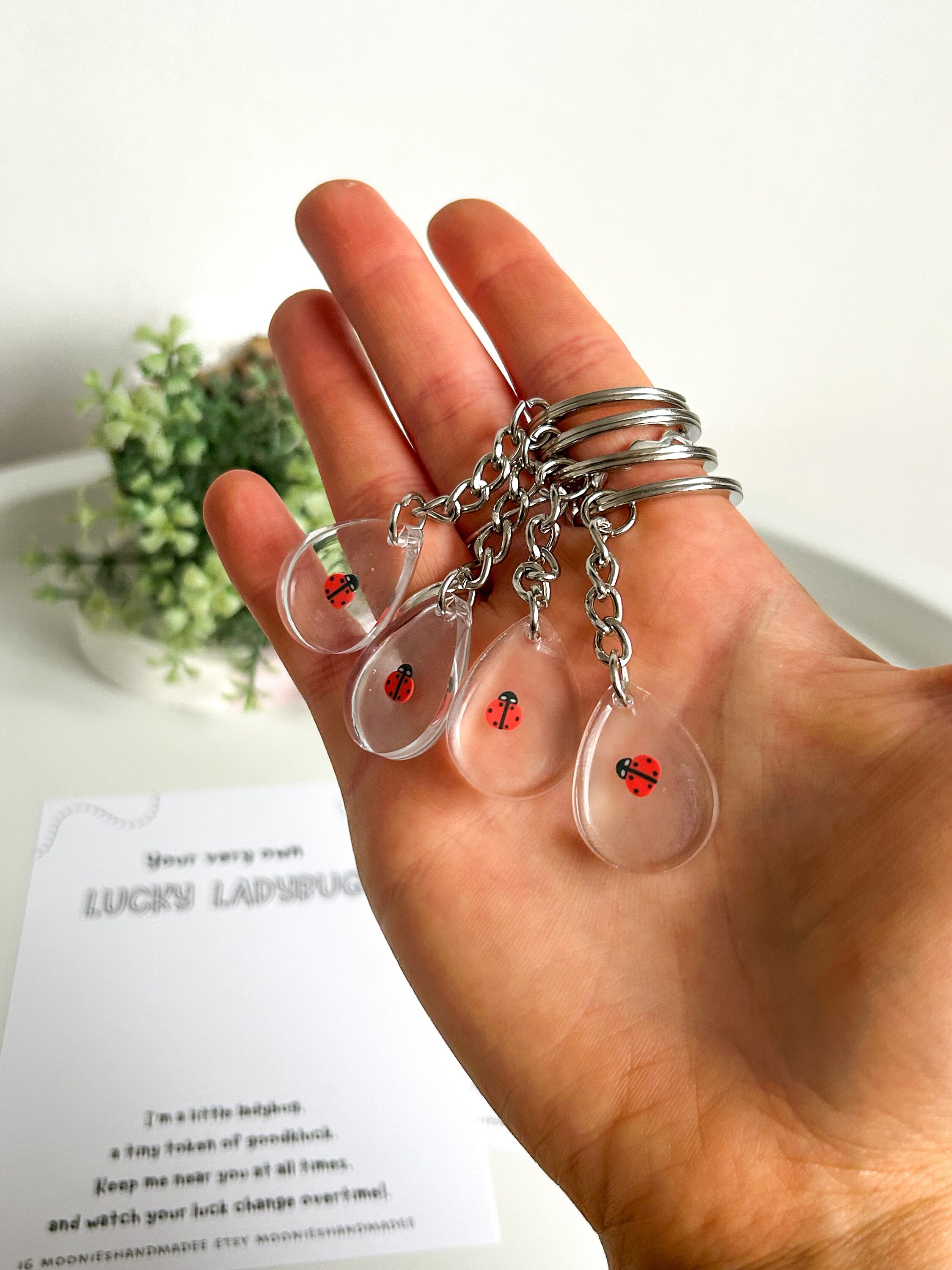 Lucky Ladybug Keychain, Ladybird Keychain, Good Luck Gift, Positive ...