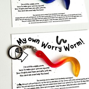 Worry Worm, Anxiety Relief Gift, Pocket Hug, Stress Relief Gift, Gifts ...
