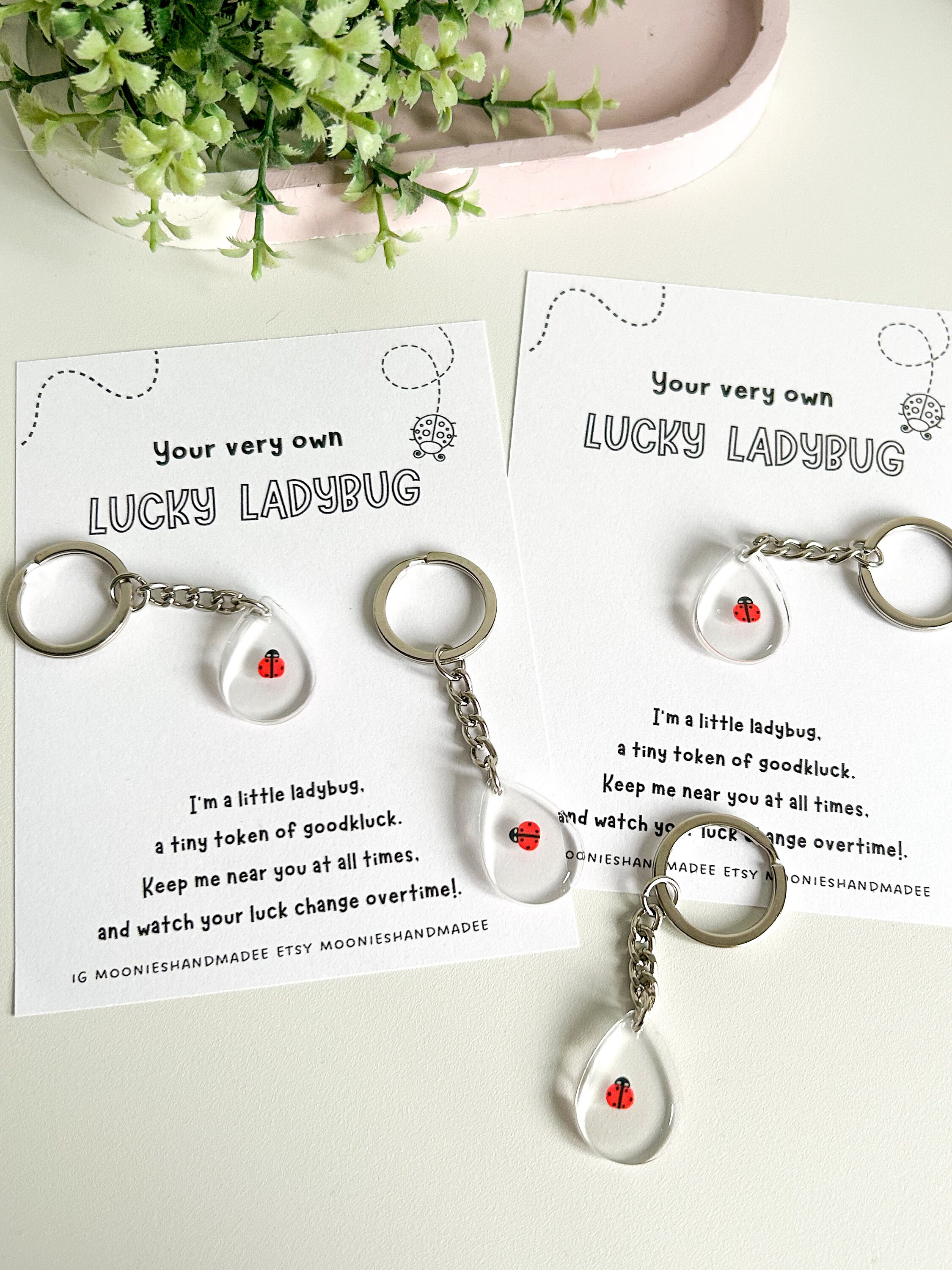 Lucky Ladybug Keychain, Ladybird Keychain, Good Luck Gift, Positive ...