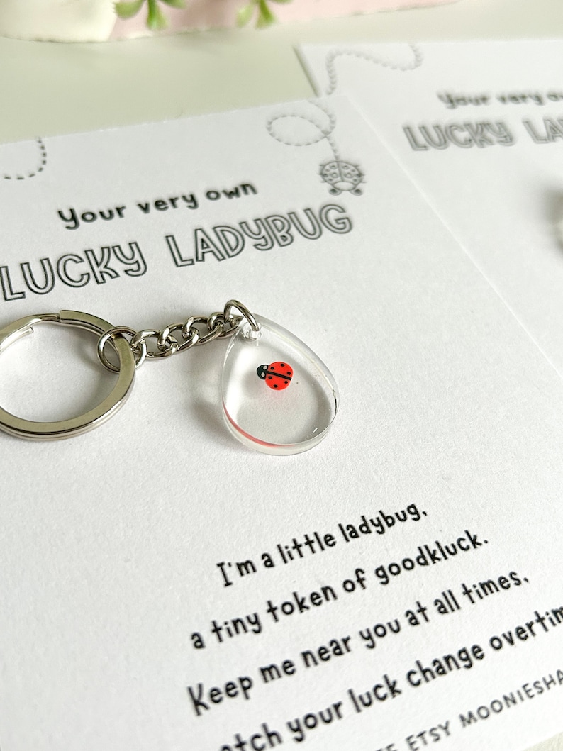 Lucky Ladybug Keychain, Ladybird Keychain, Good Luck Gift, Positive ...
