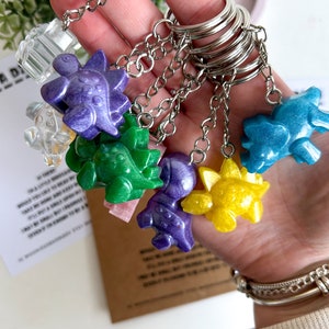 Dinosaur Keyring, Adopt A Dinosaur, Funny Keychain, Triceratops ...