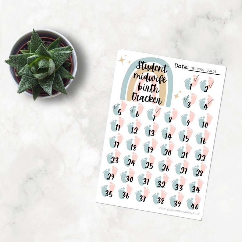 Student Midwife Birth Tracker: Downloadable Baby Counter (PDF) - Etsy