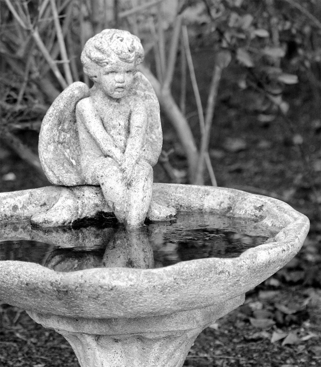 Wall Art Black & White Photography, Statue, Statuary, Birdbath, Angel ...