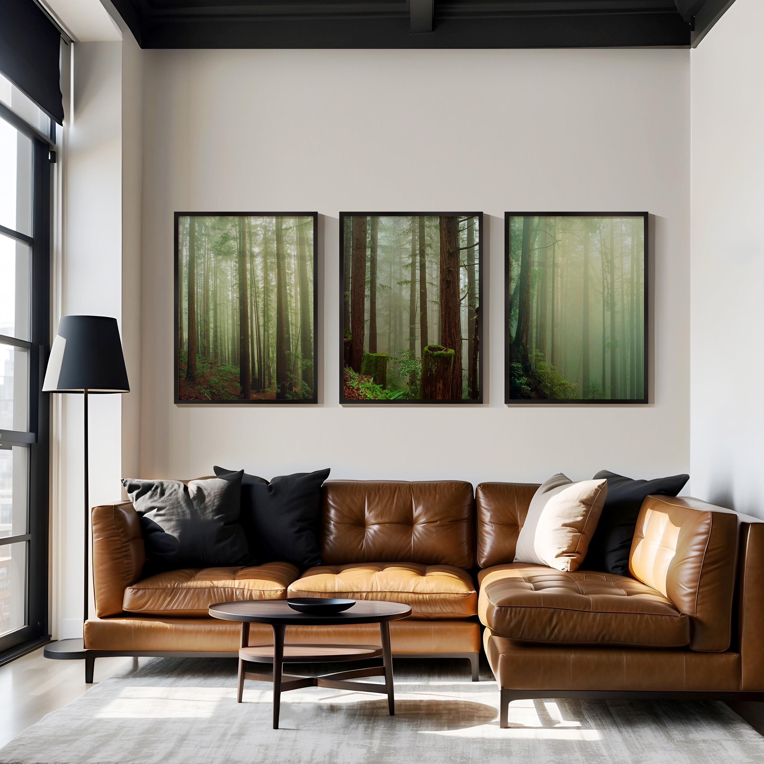 Set of 3 Foggy Redwood Forest Prints, Landscape Photography Prints ...