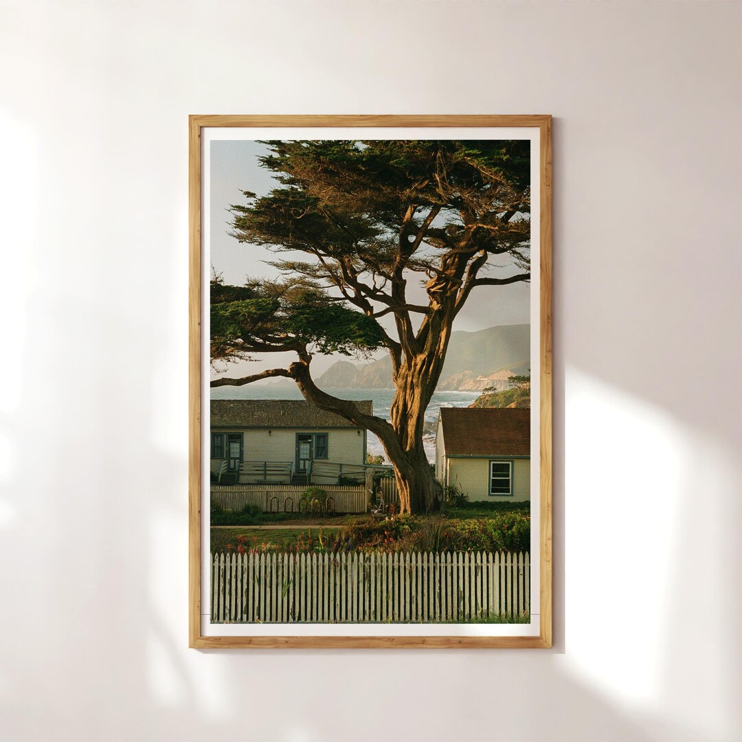 Monterey Cypress Tree Framed Art Print, California Cliffs, Highway 1 ...