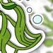 Sea Kelp Sticker, Water Resistant, Hawaiian Vinyl Sticker, Ocean ...