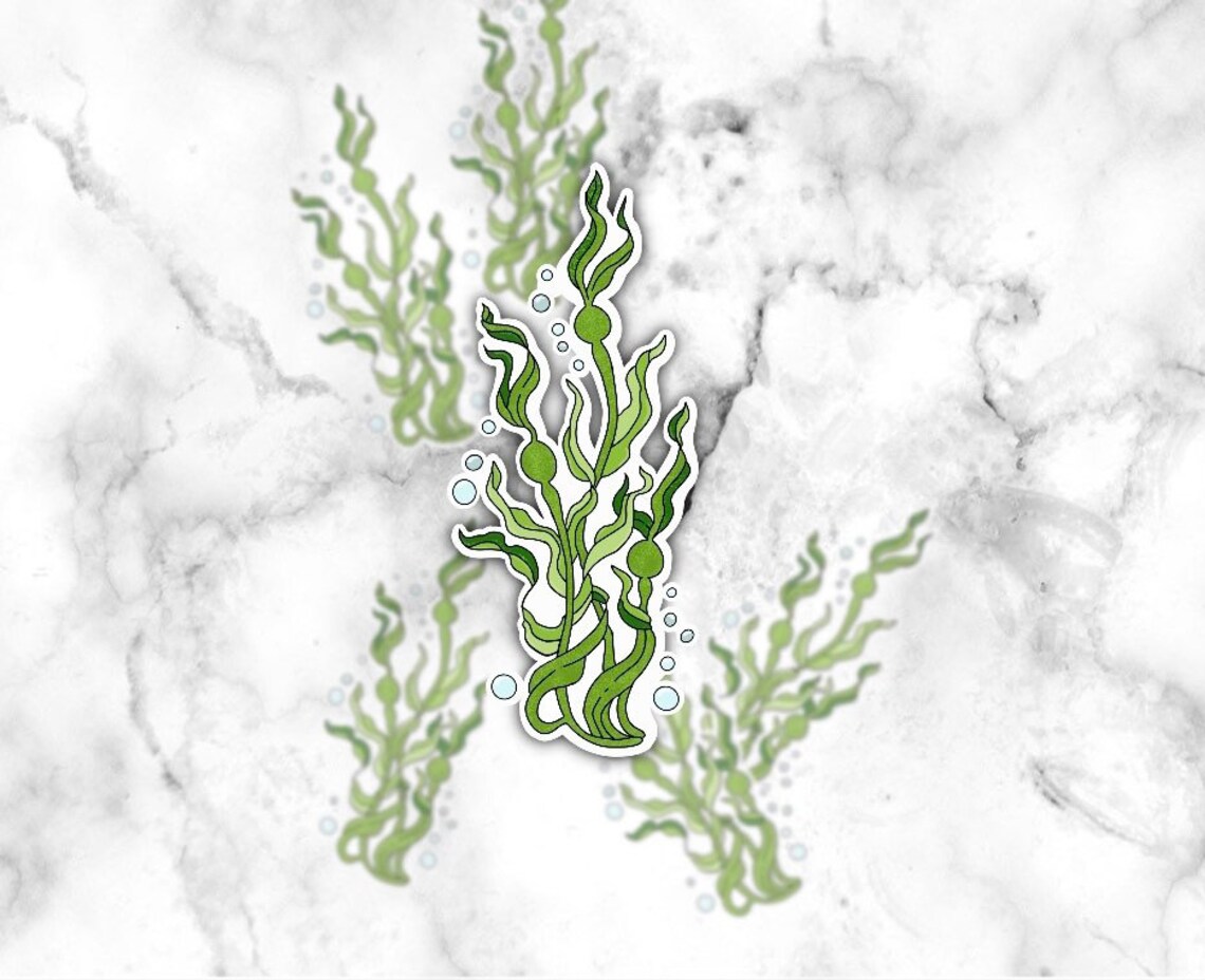 Sea Kelp Sticker Water Resistant Hawaiian Vinyl Sticker | Etsy